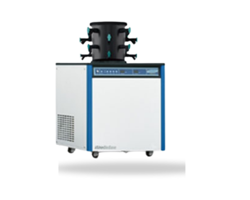 ilshin-categories – inexusbio.com